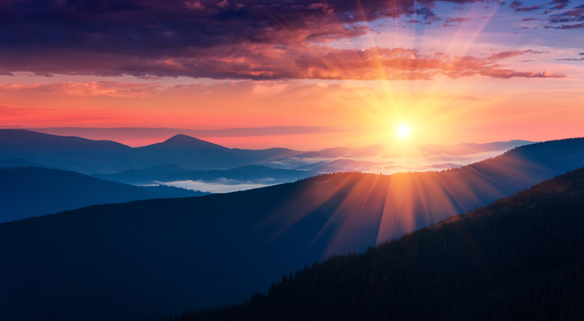 Drug and Alcohol Rehab Near Vista, California